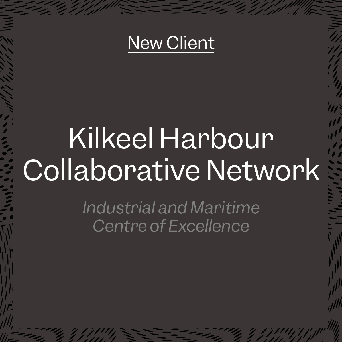 New brand design client: Kilkeel Harbour Collaborative Network