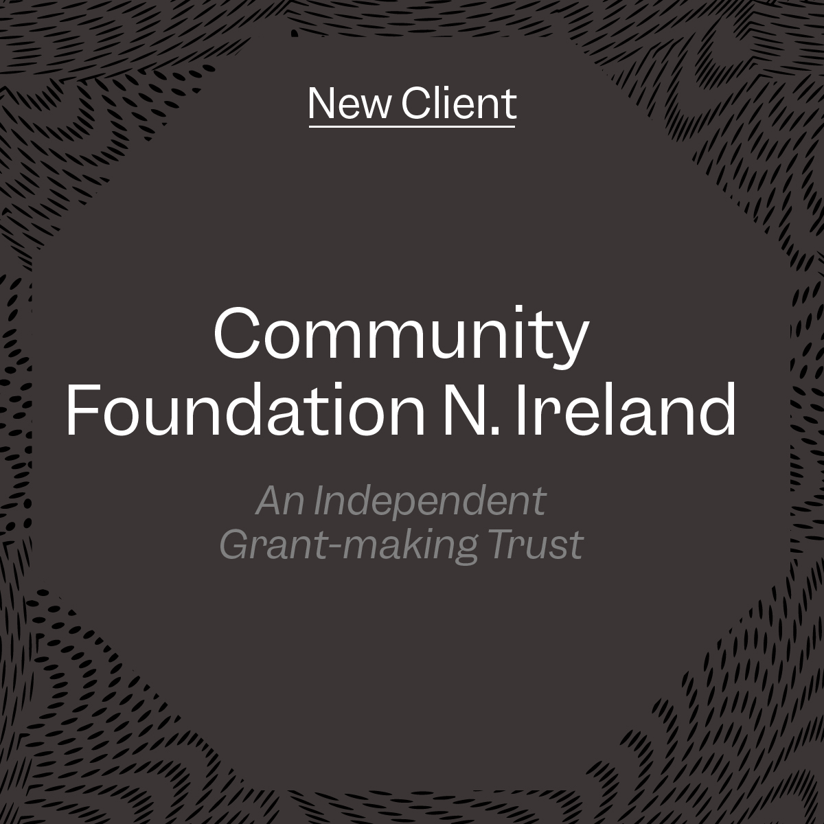 New branding client: Community Foundation Northern Ireland