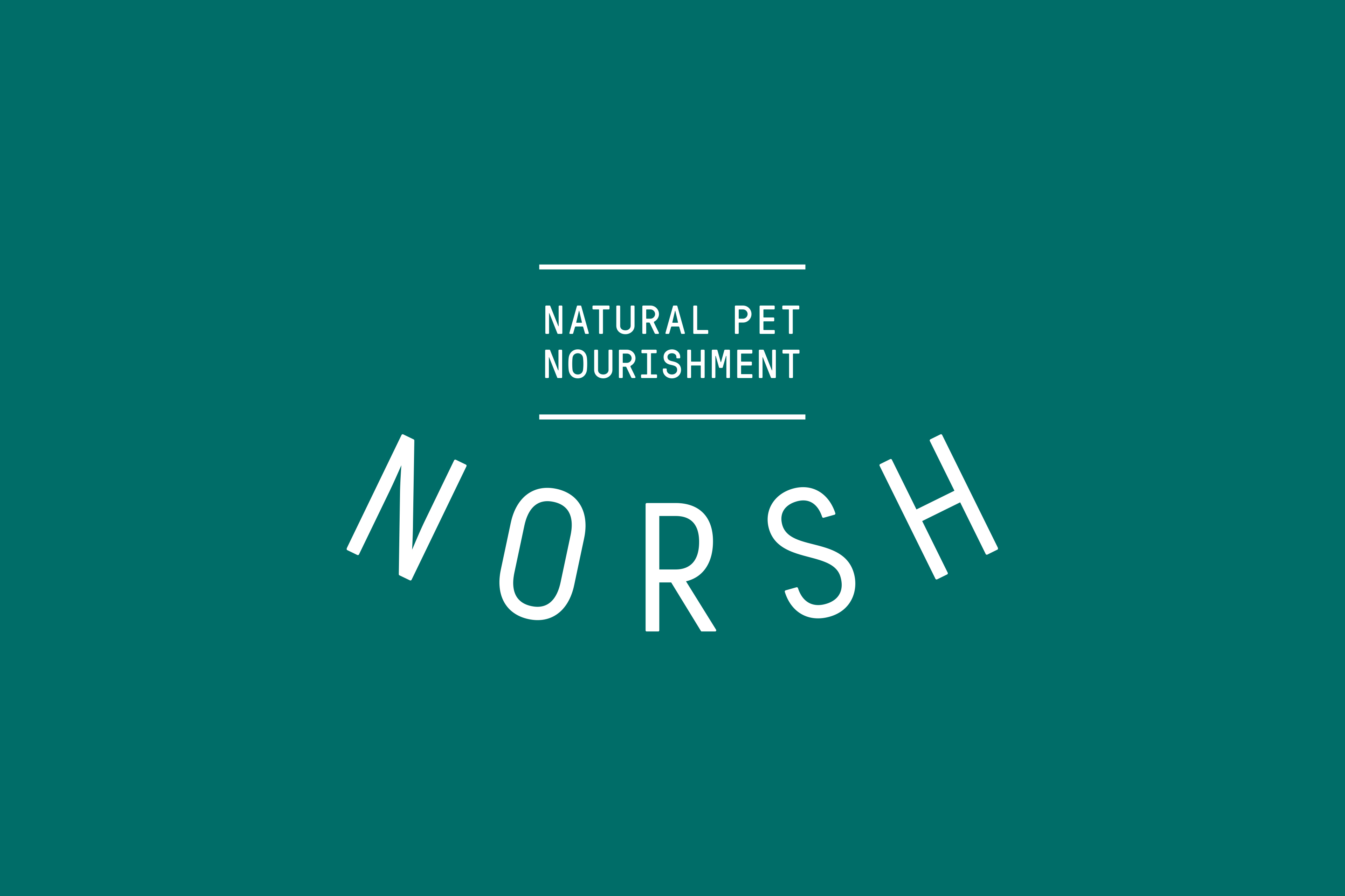 Name, Brand Design & Packaging for Norsh Pet Treats N. Ireland